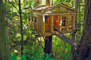 The 8 Most Beautiful Treetop Hotels in the World | Little Wanderbook