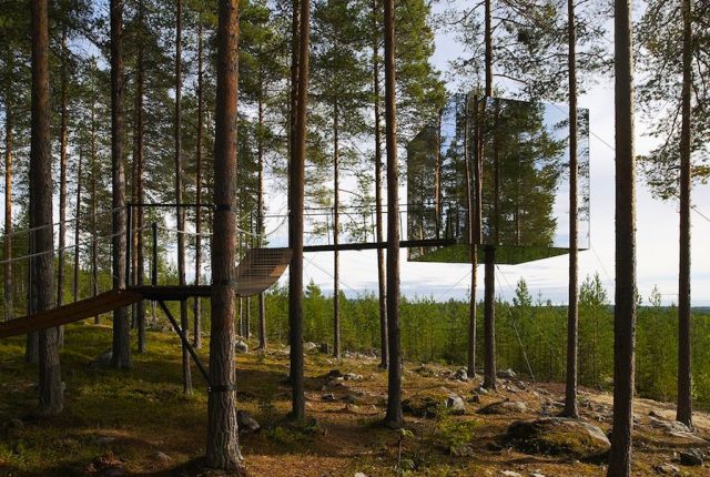 The 8 Most Beautiful Treetop Hotels in the World | Little Wanderbook